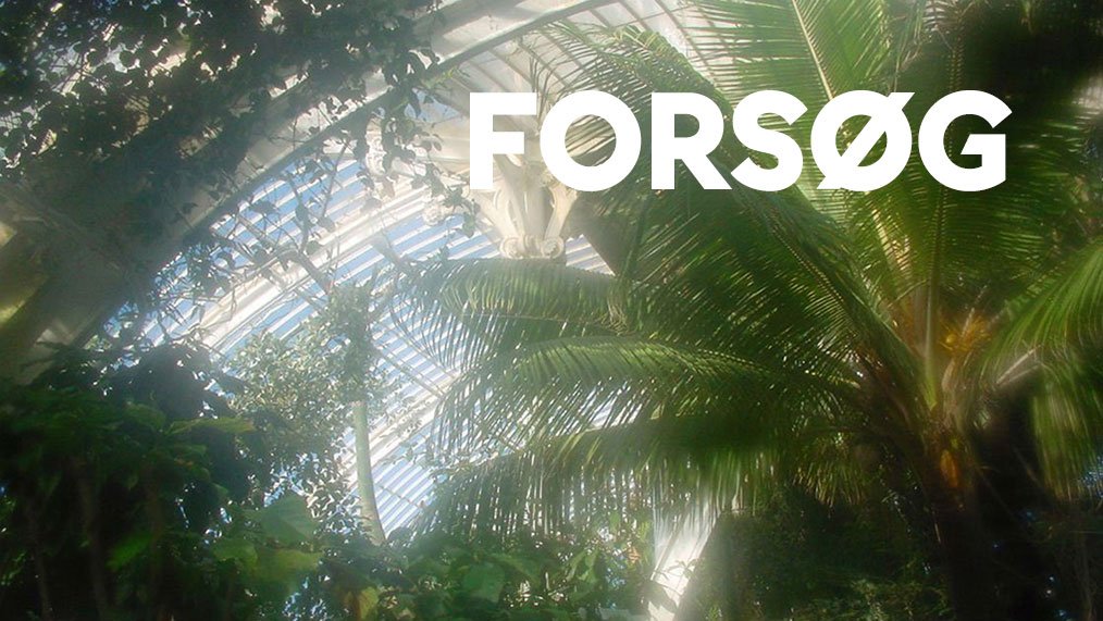 Klimazoner - polar, tempereret, subtropisk og tropisk klima