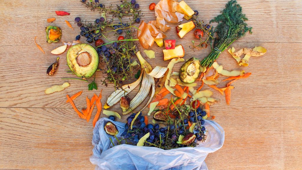 Experimentarium - Hele Danmarks science center - Forside